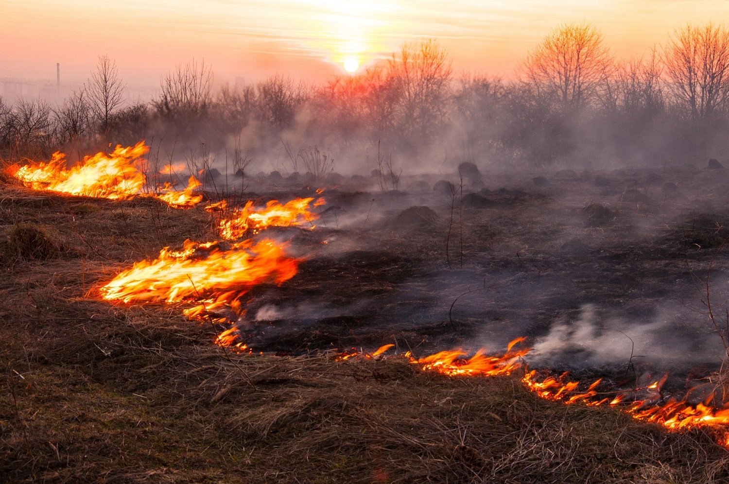 HWFRS stage exercise on Malvern Hills | Hereford & Worcester Fire and ...
